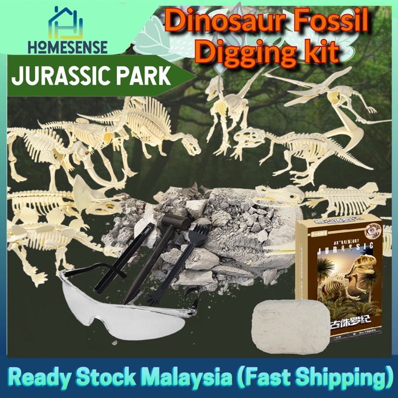 Dinosaur Fossil Digging Kit Children Science Excavation Tool Archeology ...