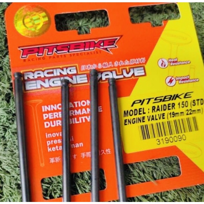Pitsbike Racing Engine Valve Raider150 carb STaNDard 19/21 19/22 22/24 ...