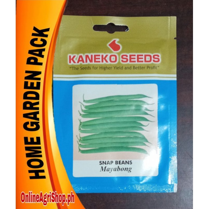 BAGUIO SNAP BEANS (53 SEEDS) MAYABONG (KANEKO) | Shopee Philippines