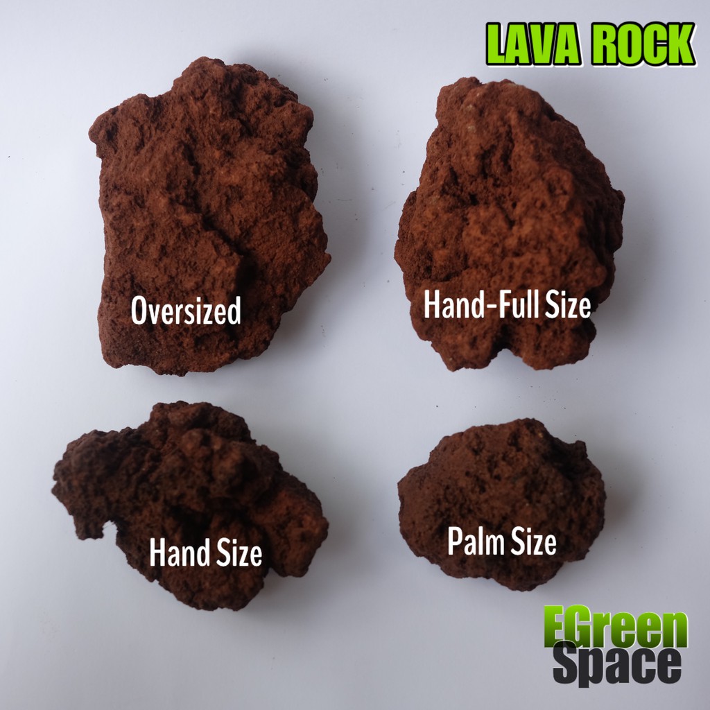 LAVA ROCK (Sold per Piece) Medium Sizes Aquarium Substrate | Shopee ...