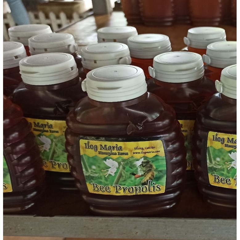 Ilog Maria Bee Propolis/Propolis Gold 320 ml | Shopee Philippines