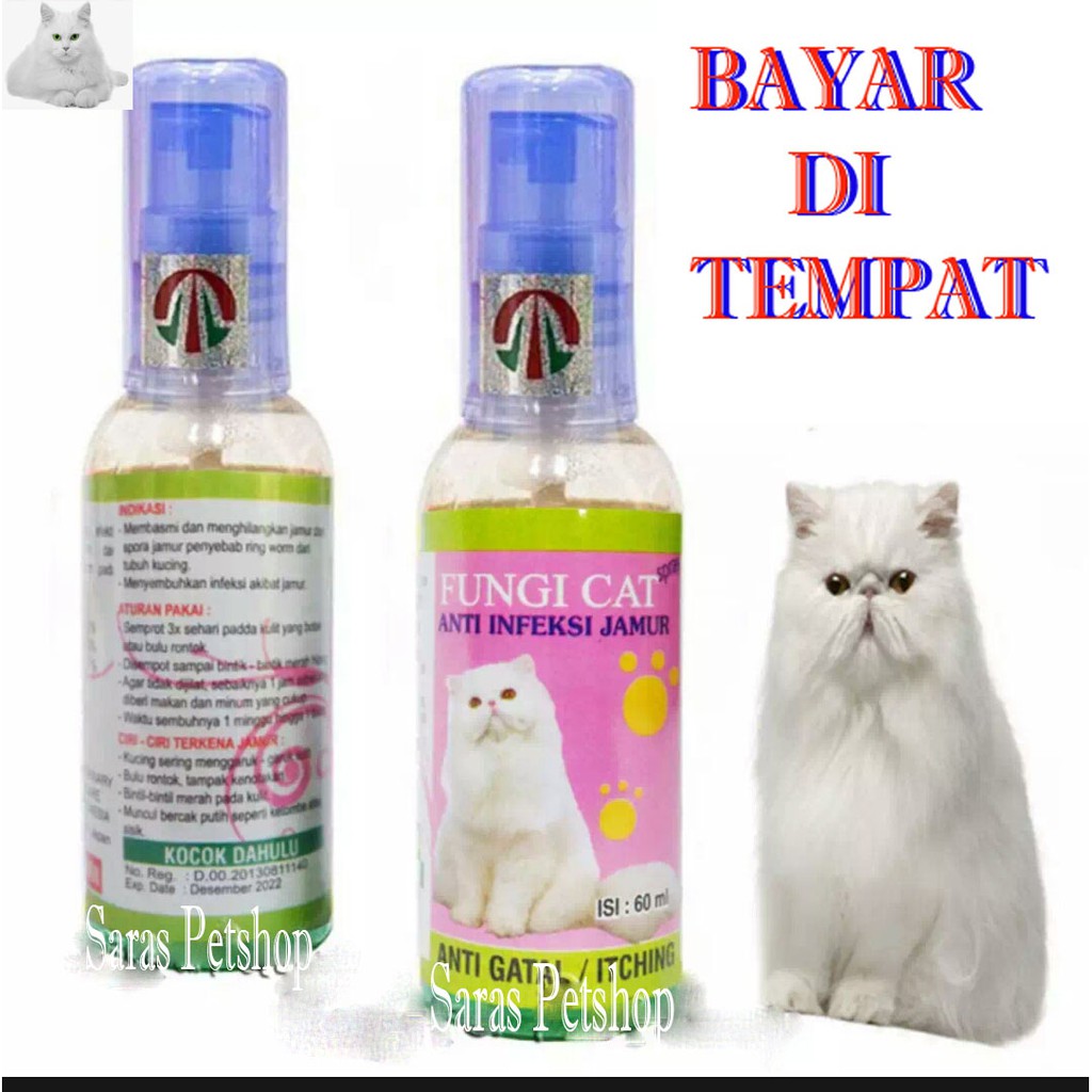 Fungi cat medicine for fungal skin infections ulcers | Shopee Philippines
