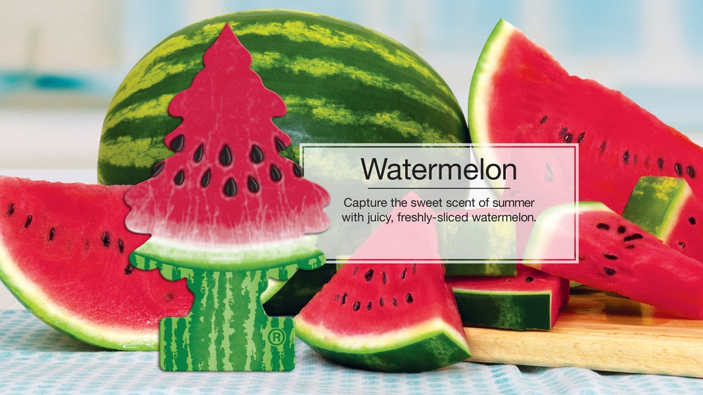 Little Trees Air Freshener Watermelon 1-PC | Shopee Philippines