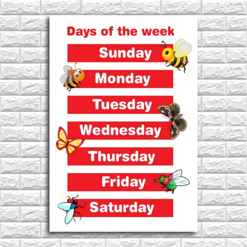 Laminated Days of the Week Chart | A4 Size | Laminated Educational Wall ...