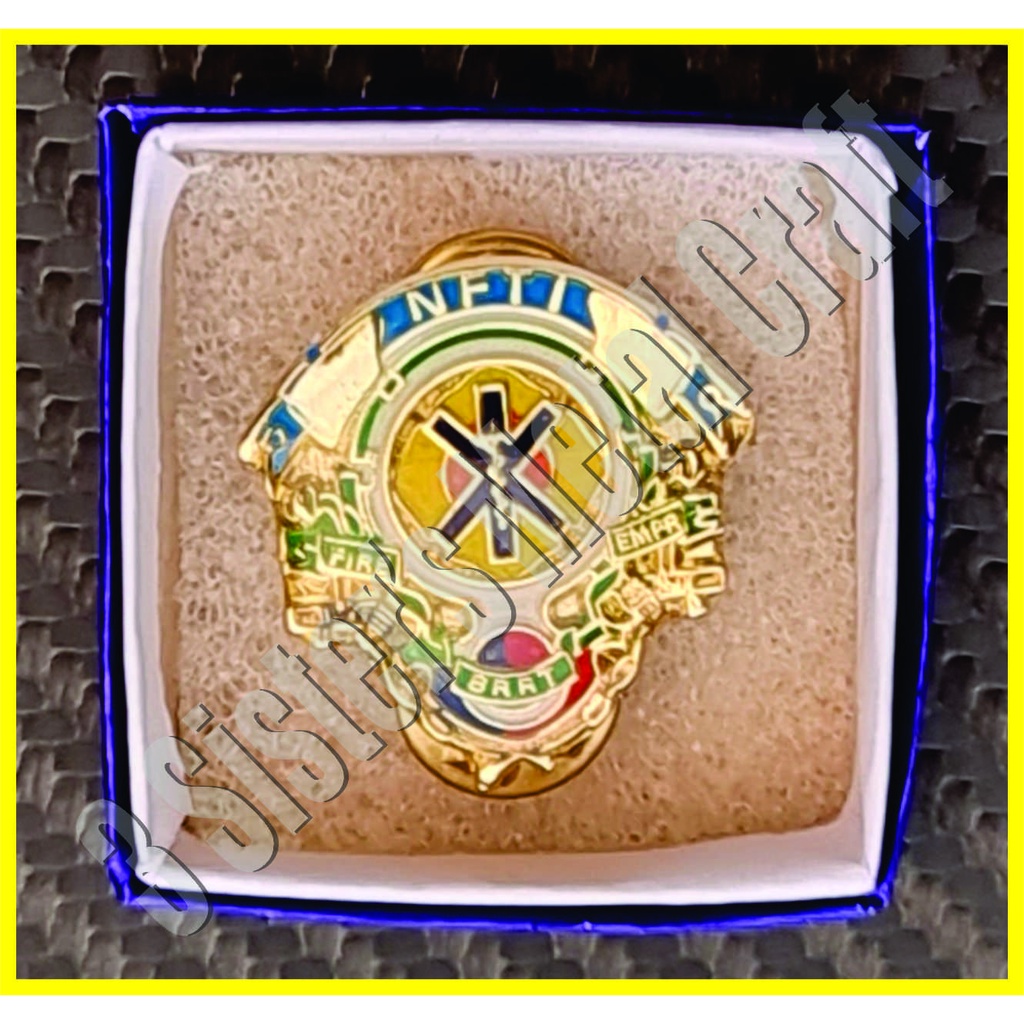 NFTI (National Fire Training Institute) Pin, Gold plated, laminated ...