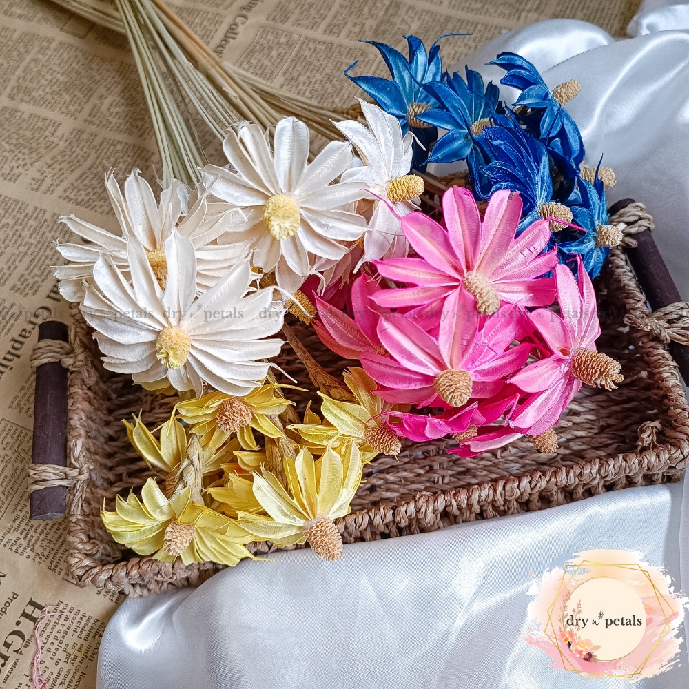 Dried Daisy Flower (1 stem) Handcrafted Natural Dried Flower Cake ...