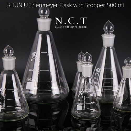 SHUNIU Erlenmeyer Pumpkin with Stopper 500ml | Shopee Philippines