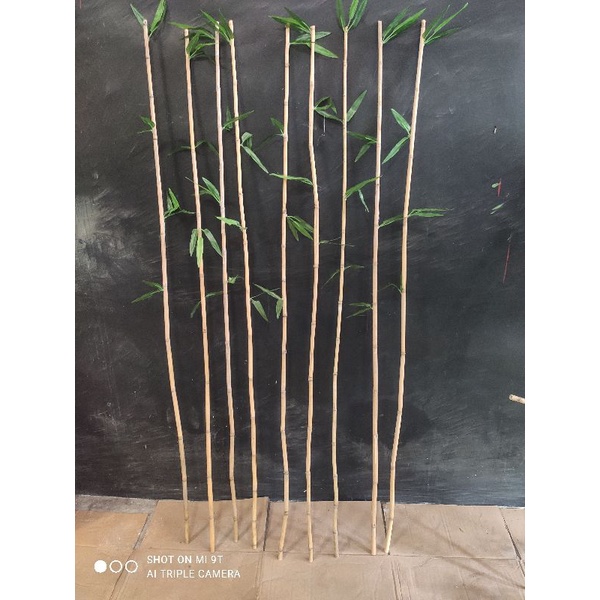 rbro real bamboo stick with artificial bamboo leaves 148cm | Shopee ...