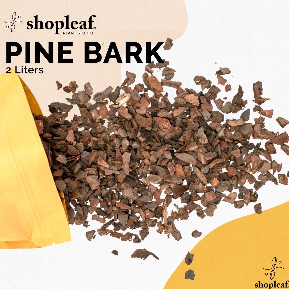 Shopleaf Pine Bark Substrate (500grams) | Shopee Philippines
