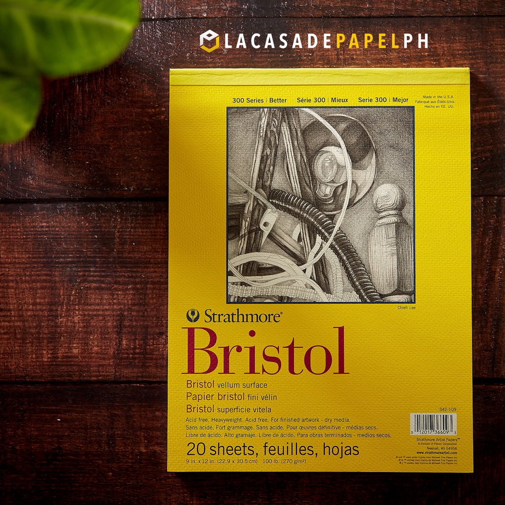 Strathmore 300 Series Bristol Smooth/Vellum | Shopee Philippines