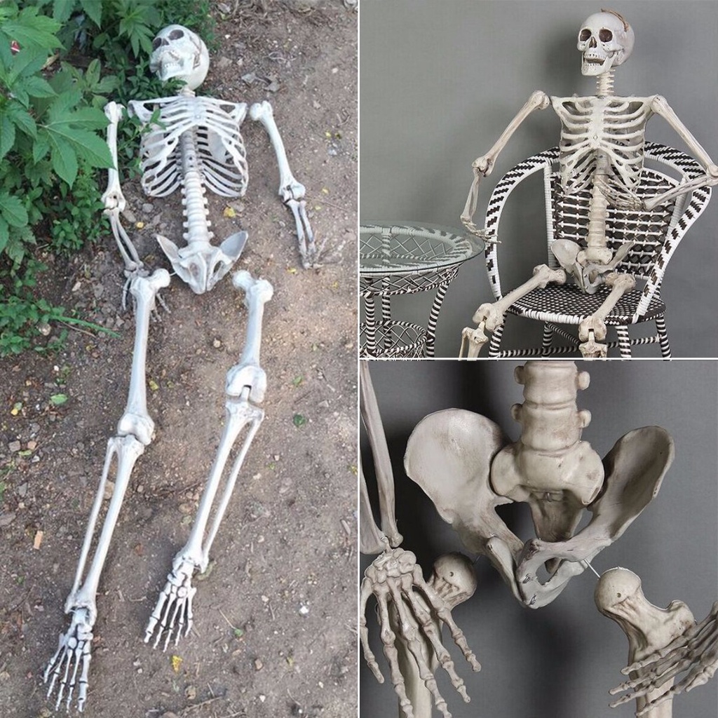 1:1 170cm Halloween Prop Life Size Human Skull Skeleton Haunted House ...