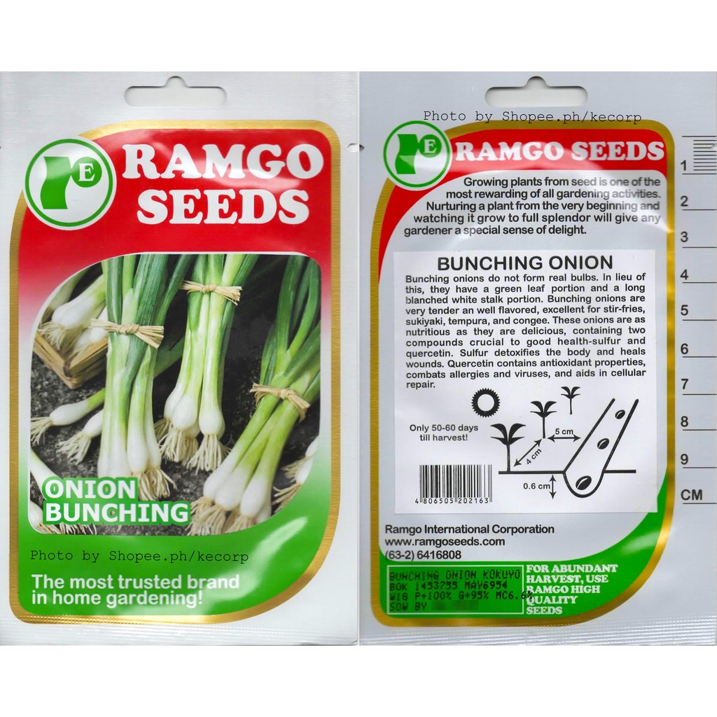 Ramgo Seeds Sold Per Pack Per Variety - Alugbati Cabbage Bunching Onion ...