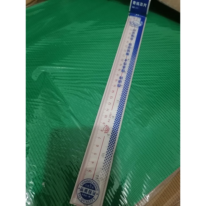 LM PLASTIC RULER 12"/ 30CM | Shopee Philippines