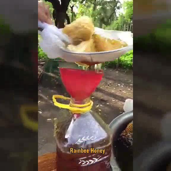 Rainbee Pure Raw Honey Uncultured Organic 400g (250ml) | Shopee Philippines