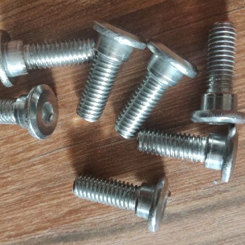 DISC PLATE BOLT SOLID STAINLESS ALLEN BOLT SOLD PER PIECE | Shopee ...