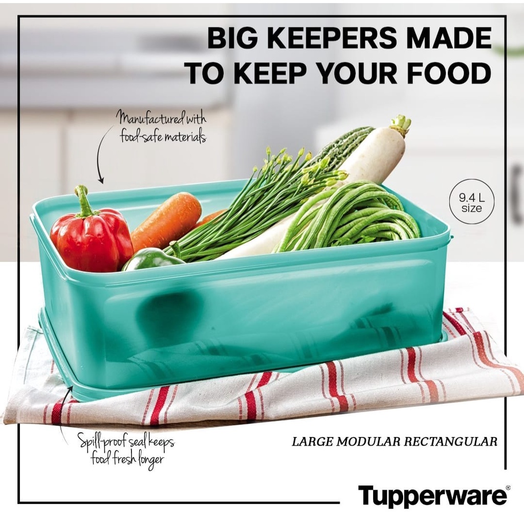 Tupperware Large Modular Rectangular | Shopee Philippines