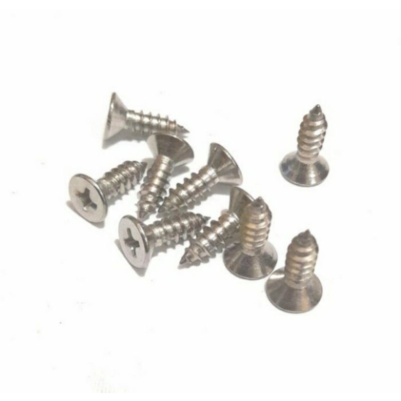 (100 pcs) 304 fh/fab stainless steel screws 10x5/8 | Shopee Philippines