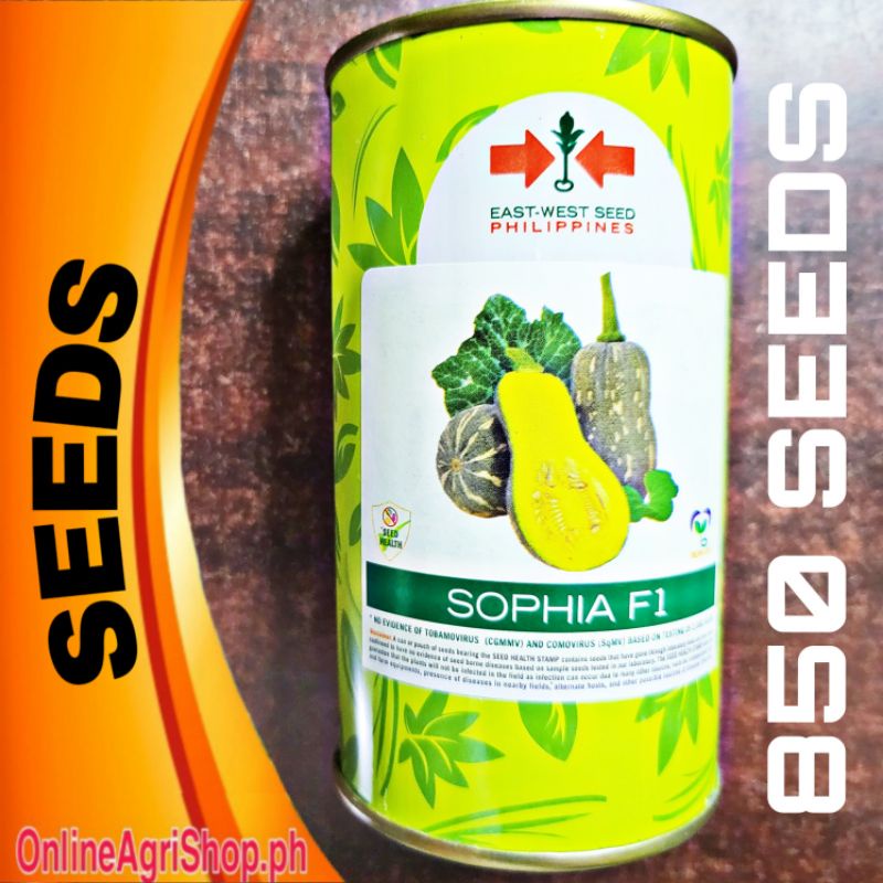 SOPHIA F1 HYBRID BUTTERNUT SQUASH KALABASA SEEDS (850 SEEDS) EAST WEST ...