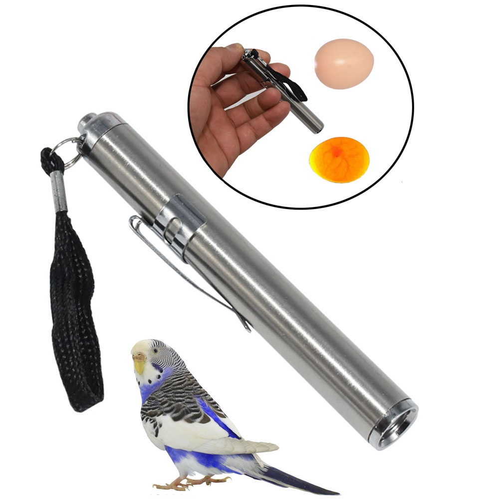 Birds Egg Candling Lamp LED Pen Light for Bird Poultry Incubation ...
