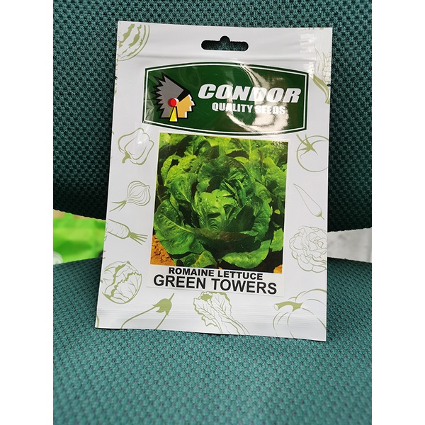 CONDOR GREEN TOWERS VARIETY ROMAINE LETTUCE VEGETABLE SEEDS (1 GRAM ...