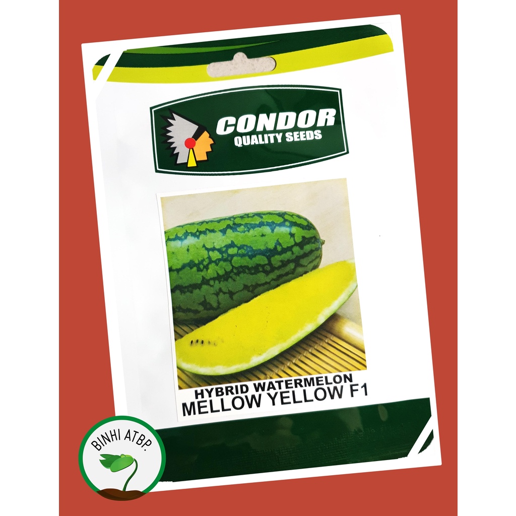 Condor Hybrid Watermelon Mellow Yellow F1 (Yellow Watermelon) Seeds (1 ...