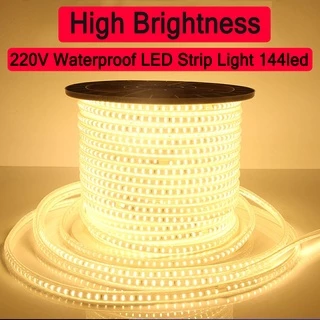 striplight - Best Prices and Online Promos - Jul 2025 | Shopee Philippines