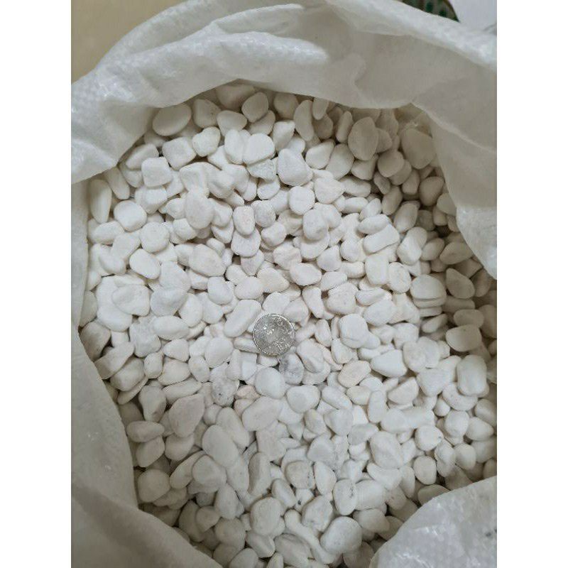 White marble stone/pebbles stone/aquarium stone(1kg) | Shopee Philippines
