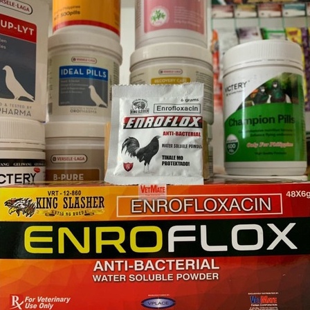 Enroflox King Slasher 6g Sachet Anti-Bacterial Water Soluble Powder for Pigeons and Gamefowl ...
