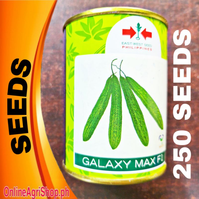 GALAXY MAX F1 HYBRID AMPALAYA SEEDS APPROX 250 SEEDS BY EAST WEST SEEDS ...