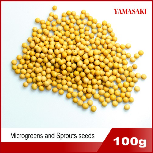 FV Soybeans microgreens seeds 100g | Shopee Philippines