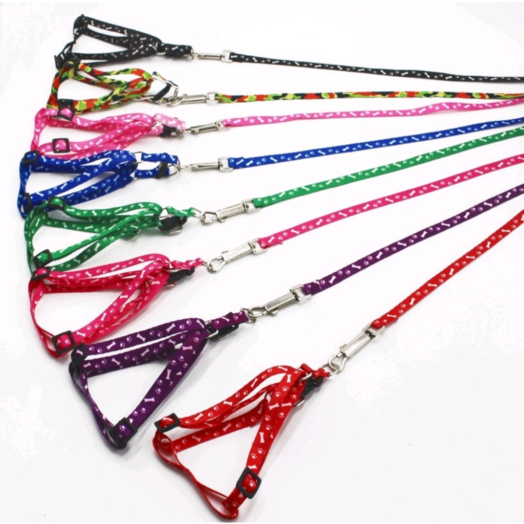 P-027 Pet leash Adjustable Nylon Dog & Cat Leash | Shopee Philippines