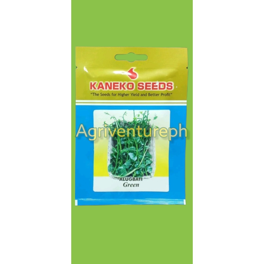 ALUGBATI GREEN 167 SEEDS OR 5 GRAMS (KANEKO SEEDS) | Shopee Philippines