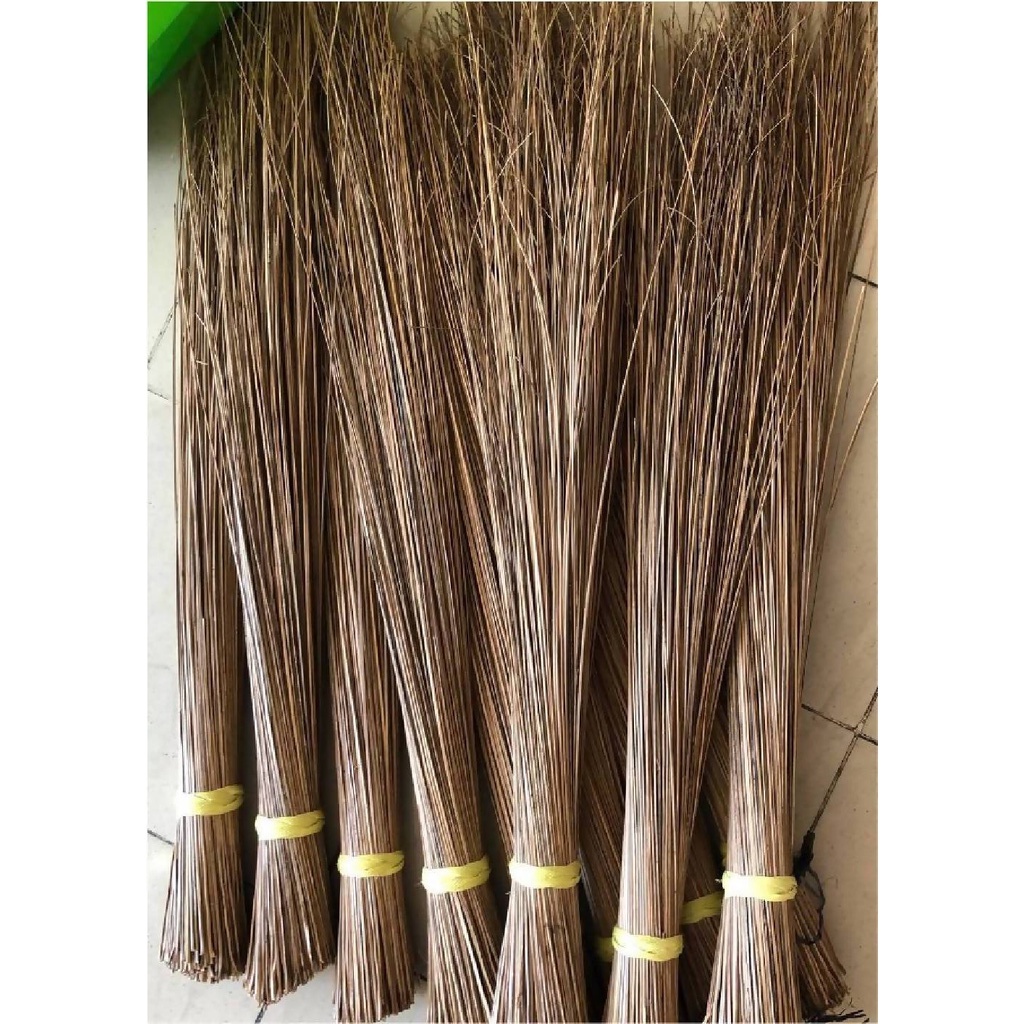 #RMS WALIS TINGTING NIYOG [REGULAR SIZE] | Shopee Philippines