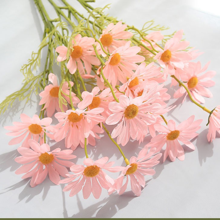 Simulation flower Small daisy chamomile gerbera cosmos simulation ...