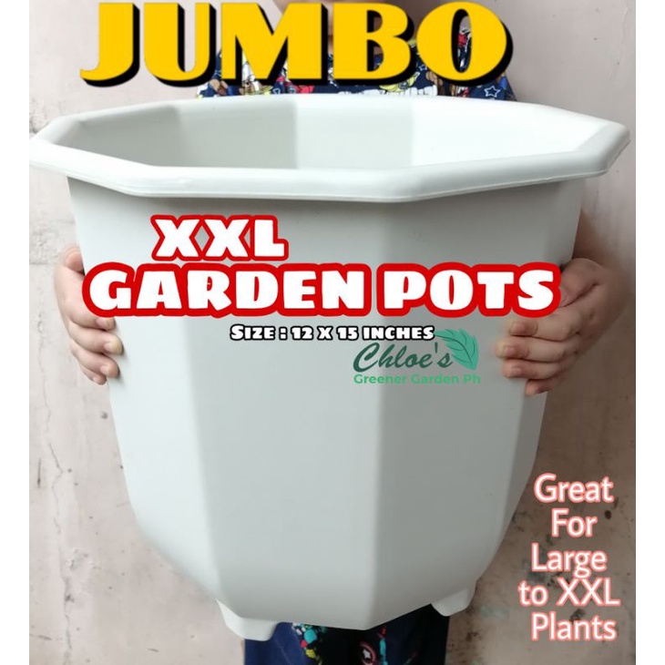 JUMBO XXL VERY BIG WHITE POTS FOR PLANTS PLANTERS paso para sa halaman ...