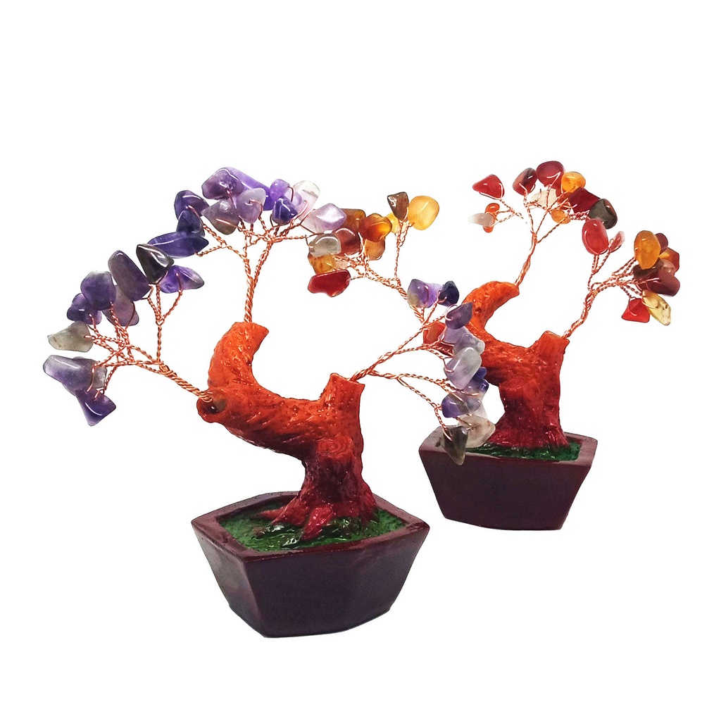 fea Money Tree Mini Size Random Color 15cm/Lucky Charms and Home ...
