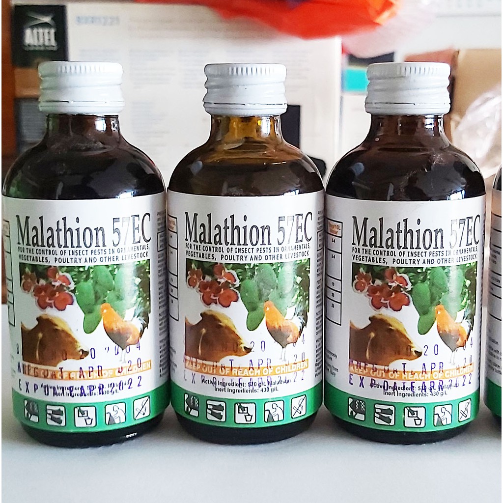 Malathion 57EC for Pest Control / Malatayon / Malathione 60ml | Shopee ...