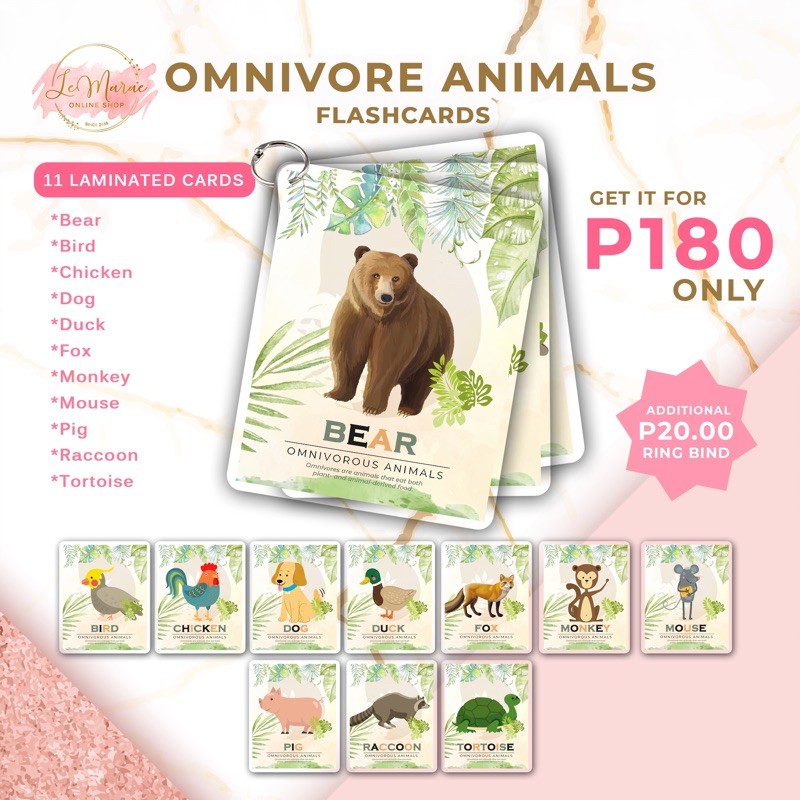 Le Marae Shop - Laminated Flashcards OMNIVORE ANIMALS | Shopee Philippines