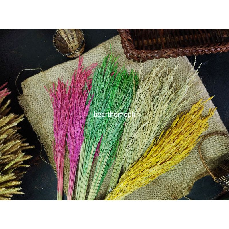 Preserved/ Dried Palay | Shopee Philippines