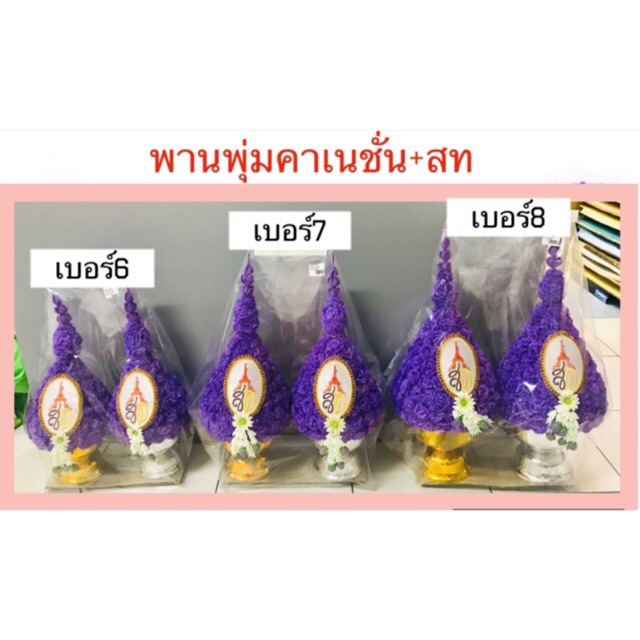 Phan Bush Queen Purple Carnation Flower Number 6/7/8 Pan Canopy ...