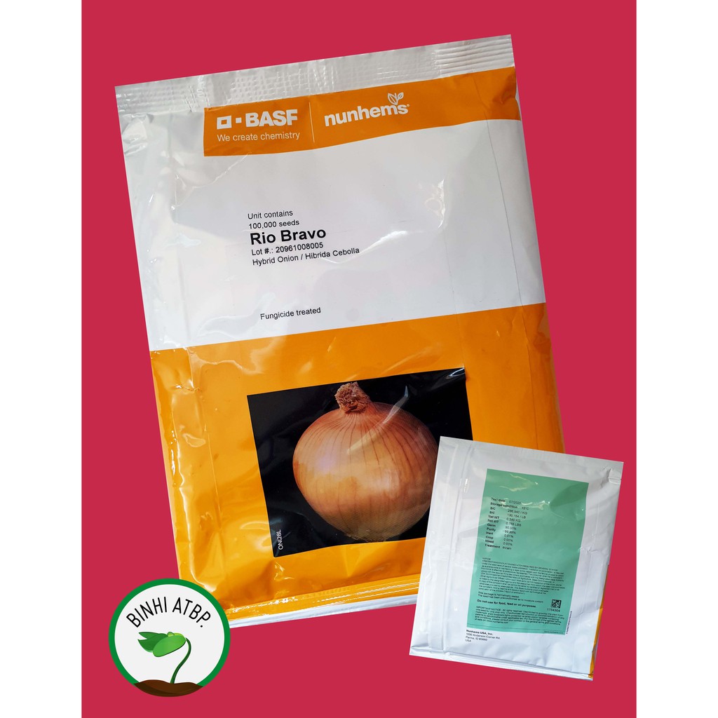 BASF Nunhems Yellow Granex Onion (White Onion) Rio Bravo F1 Seeds (1 ...