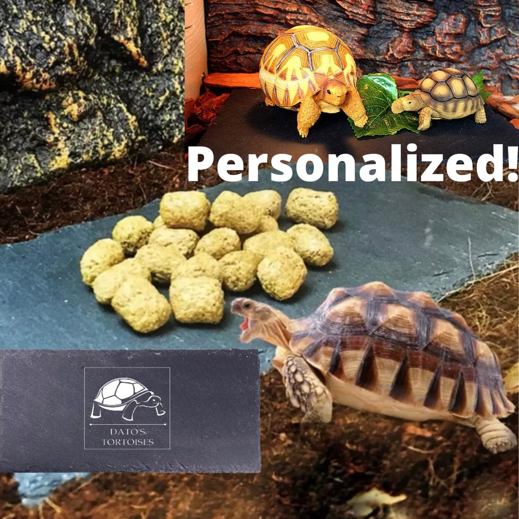 Personalized Natural Black Stone Rock Plate Tortoise Reptile Feeding ...