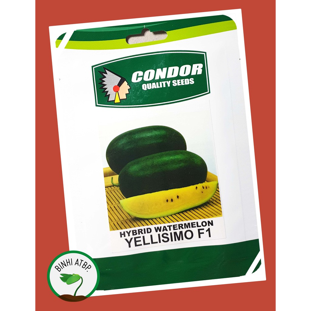 Condor Hybrid Watermelon Yellisimo F1 (Yellow Watermelon) Seeds (1 Gr ...