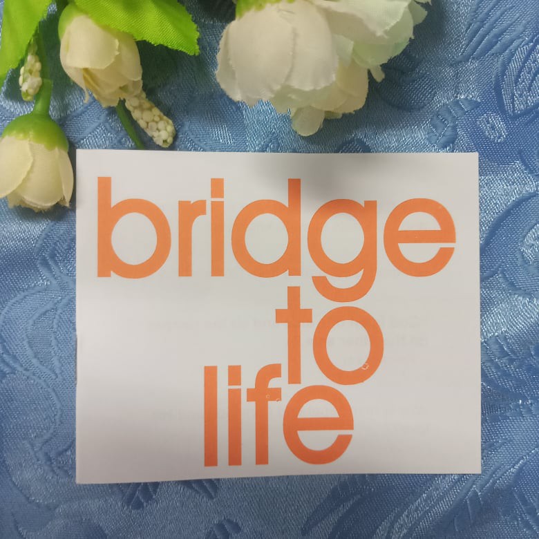 PCBS BIBLE TRACTS / TAGALOG/ENGLISH BUNDLE OF 50PCS. (3.125"X4"X1.375 ...