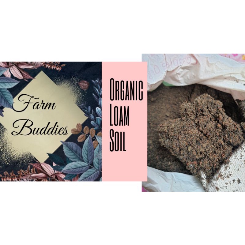 Organic Loam Soil (1kg) | Shopee Philippines
