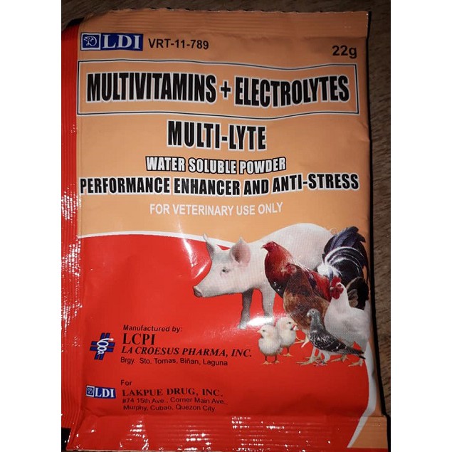 MULTILYTE (Multivitamins and Electrolytes) 22 grams/sachet | Shopee ...