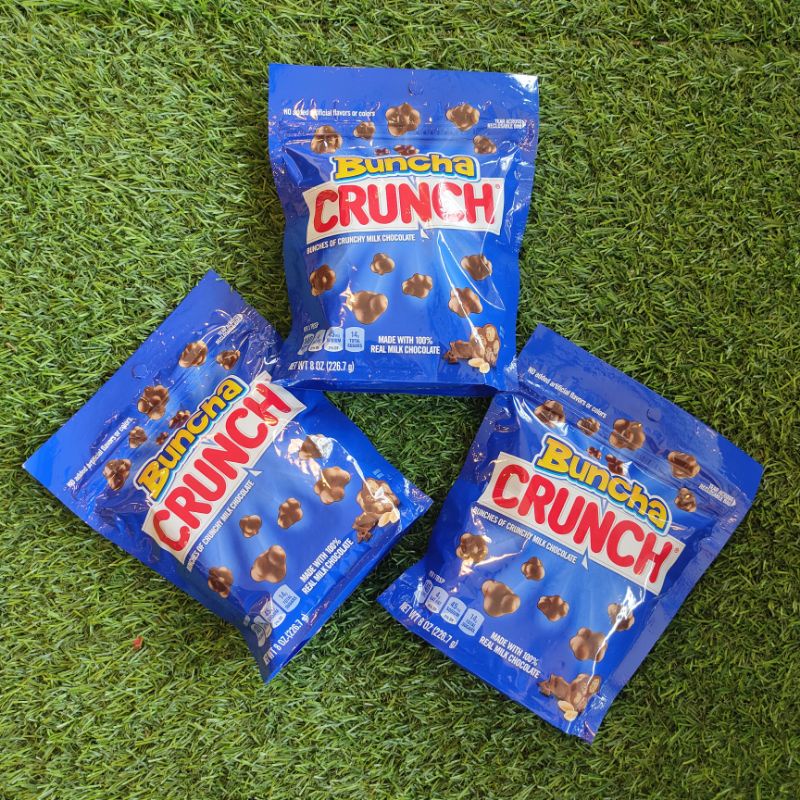 Milk Chocolate Buncha Crunch 226.7g (Original) | Shopee Philippines