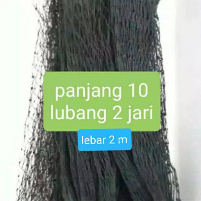 Chicken Netting Chicken Fencing Netting 2-finger Small Hole Garden ...