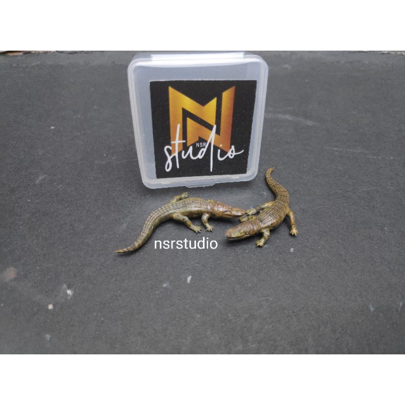 miniature buaya scale 1/64 (2pcs) | Shopee Philippines
