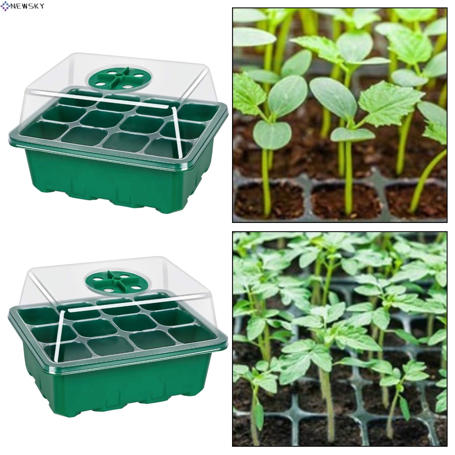 Seed Starter Kit For Sowing Tray 60 Large Cell Mini Plant Growth With ...